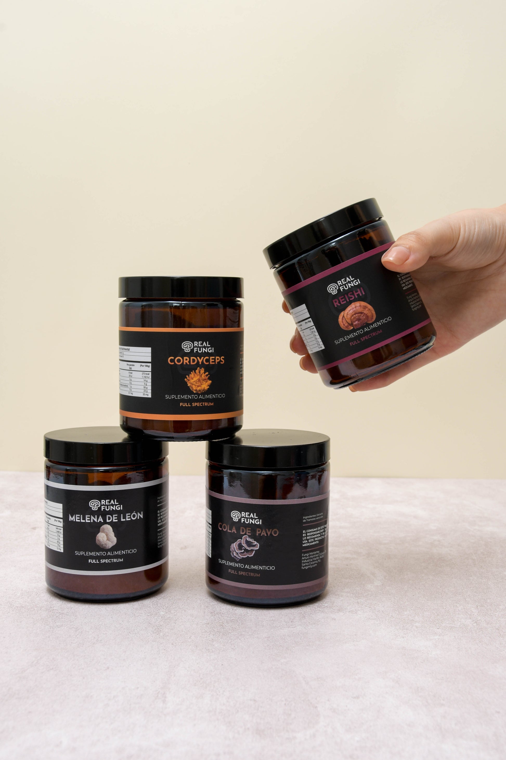 Kit Fungi Adaptogenos – Real Fungi MX