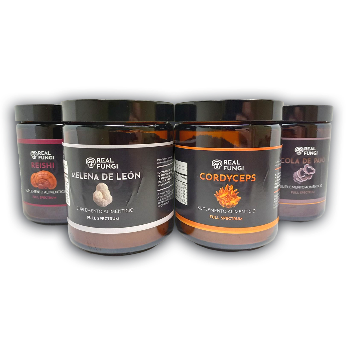 Kit Fungi Adaptogenos – Real Fungi MX